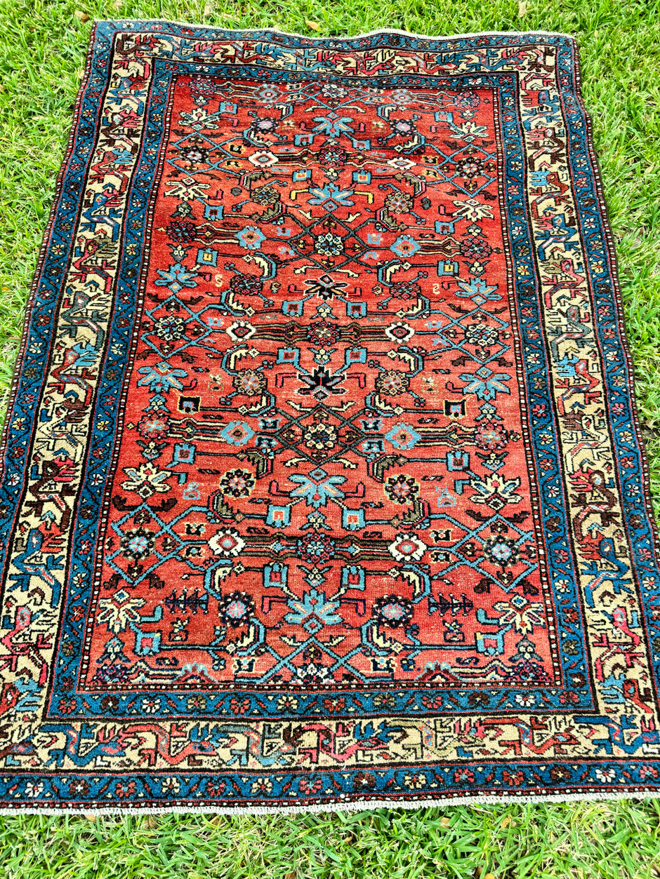 Full Collection | The Southern Loom - Vintage + Antique Rugs for Sale ...